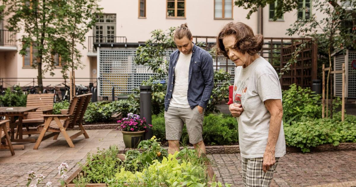 New guide to help housing cooperatives create shared block courtyards ...